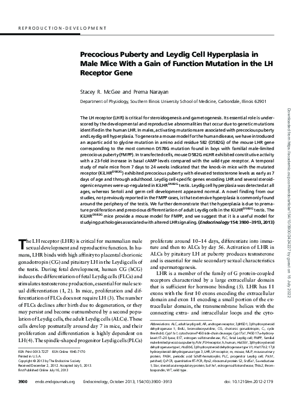 (PDF) Precocious Puberty and Leydig Cell Hyperplasia in Male Mice With ...
