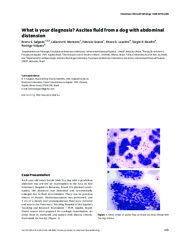 (PDF) What is your diagnosis? Ascites fluid from a dog with abdominal ...