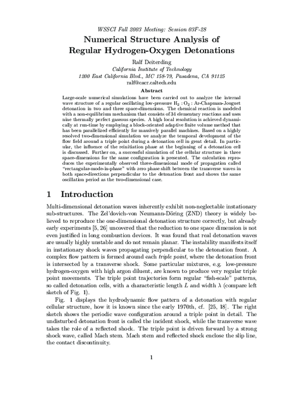 (PDF) Numerical structure analysis of regular hydrogen-oxygen detonations