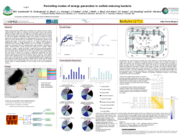 (PDF) Revisiting Modes of energy generation in sulfate reducing bacteria