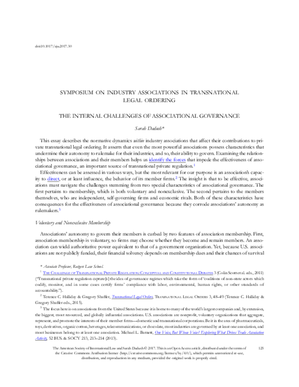 (PDF) The Internal Challenges of Associational Governance