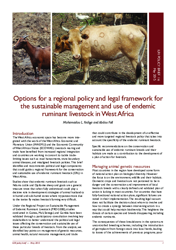 (PDF) Options for a regional policy and legal framework for the ...