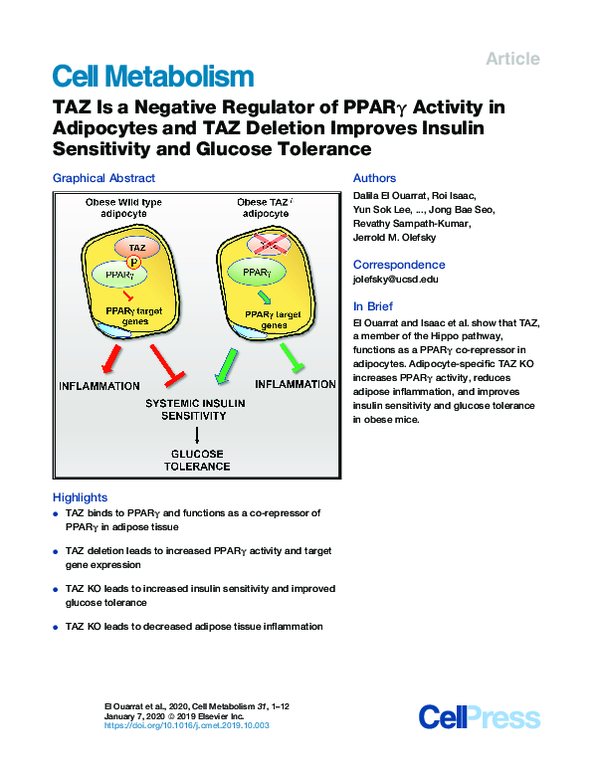 (PDF) TAZ Is a Negative Regulator of PPARγ Activity in Adipocytes and ...