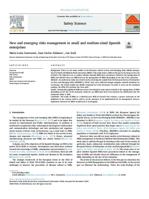(PDF) New and emerging risks management in small and medium-sized ...