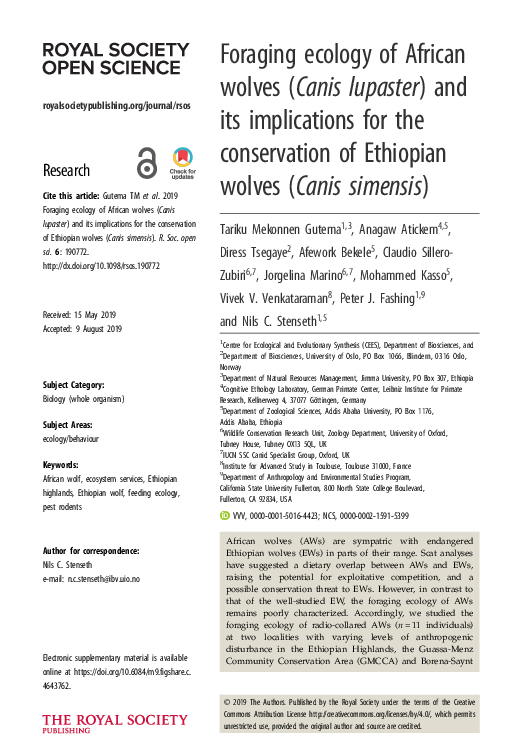 (PDF) Foraging ecology of African wolves ( Canis lupaster ) and its ...