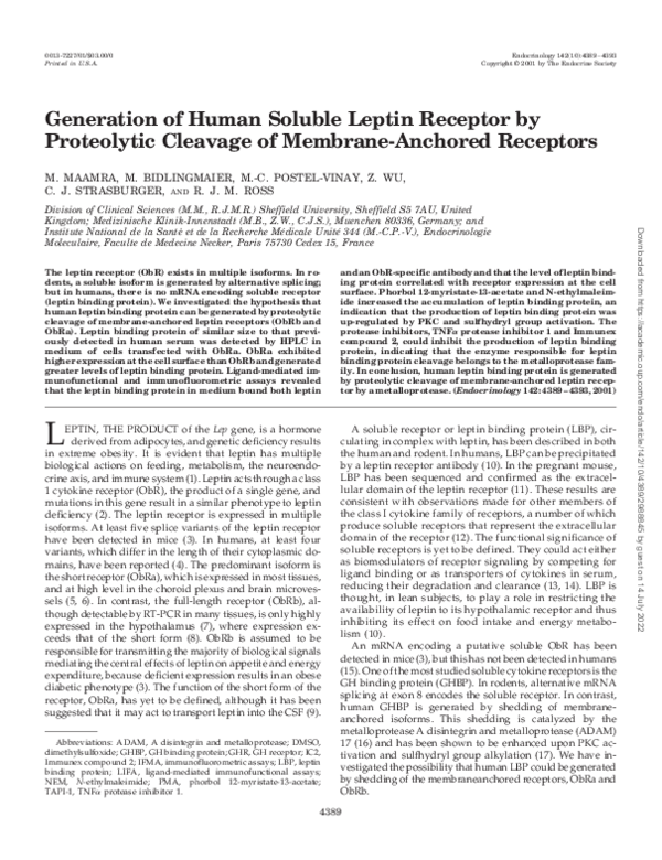 (PDF) Generation of Human Soluble Leptin Receptor by Proteolytic Cleavage of Membrane-Anchored ...