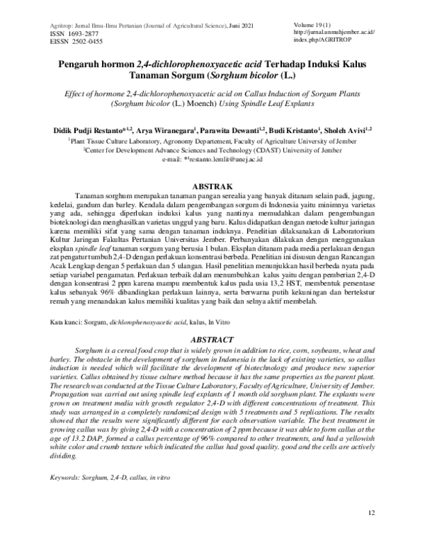 (PDF) Pengaruh hormon 2,4-dichlorophenoxyacetic acid Terhadap Induksi ...
