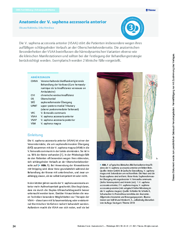 (PDF) Anatomie der V. saphena accessoria anterior