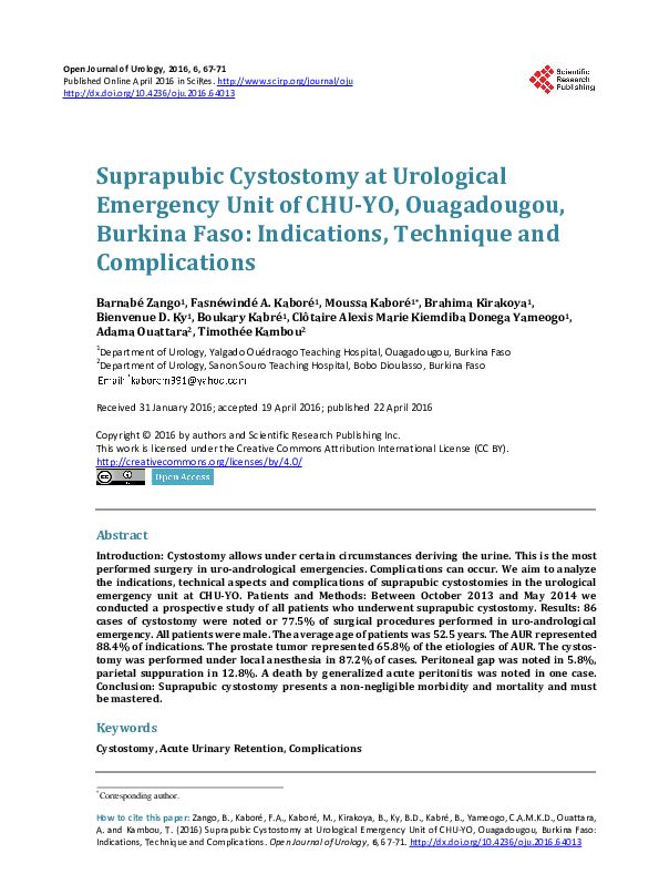 (PDF) Suprapubic Cystostomy at Urological Emergency Unit of CHU-YO, Ouagadougou, Burkina Faso ...
