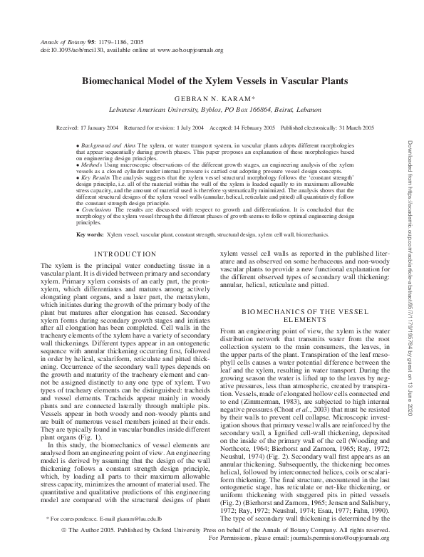(PDF) Biomechanical model of the xylem vessels in vascular plants