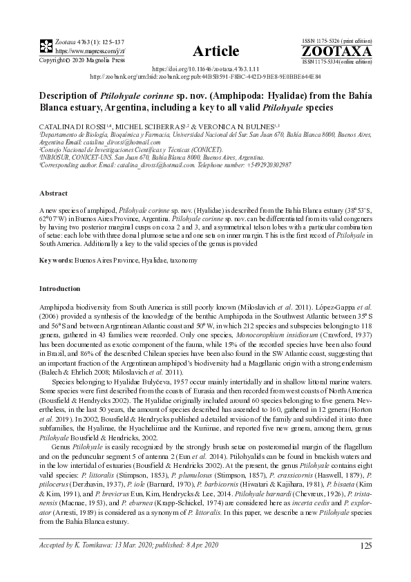 (PDF) Description of Ptilohyale corinne sp. nov. (Amphipoda: Hyalidae ...