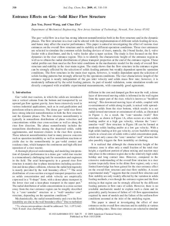 (PDF) Entrance Effects on Gas−Solid Riser Flow Structure