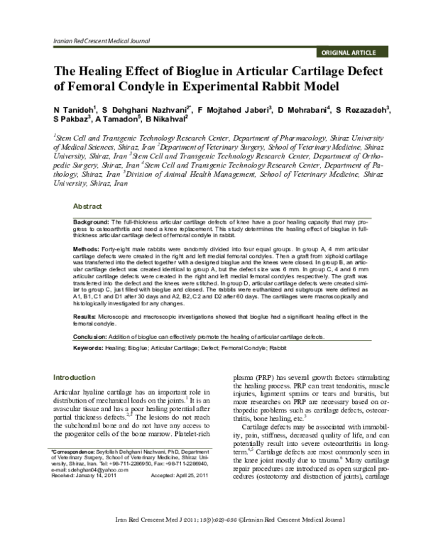 (PDF) The Healing Effect of Bioglue in an Experimental Rabbit Model of ...