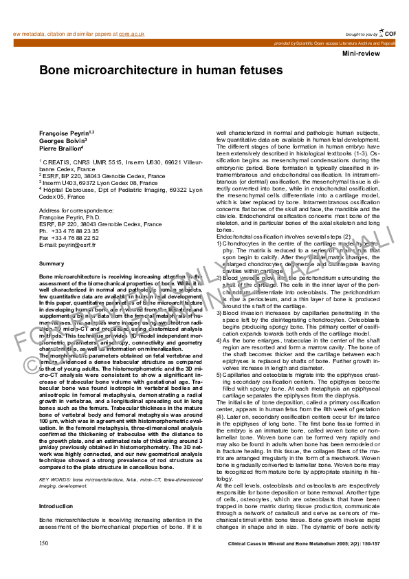 (PDF) Bone microarchitecture in human fetuses