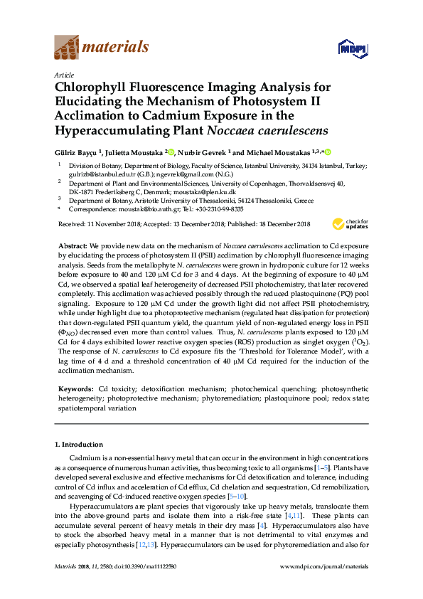 (PDF) Chlorophyll Fluorescence Imaging Analysis for Elucidating the ...