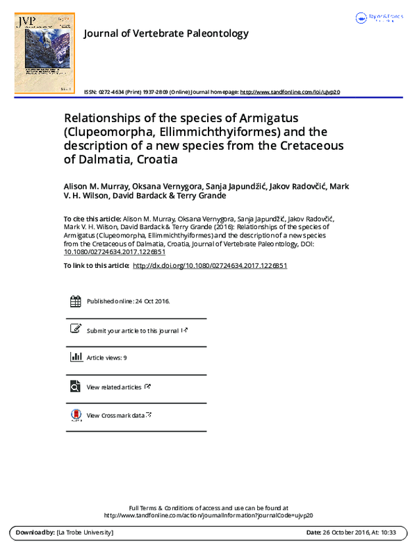 (PDF) Relationships of the species ofArmigatus(Clupeomorpha ...