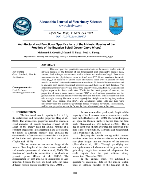 (PDF) The architectural and functional specifications of intrinsic ...