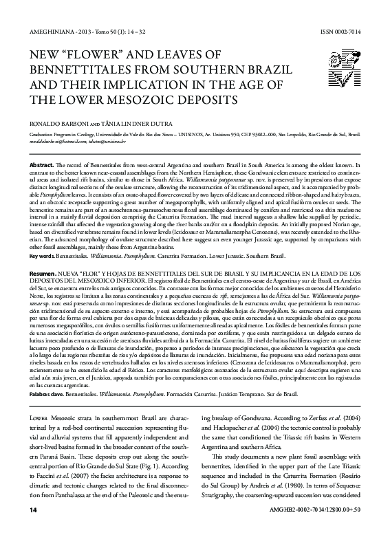 (PDF) New “Flower” and Leaves of Bennettitales from Southern Brazil and ...
