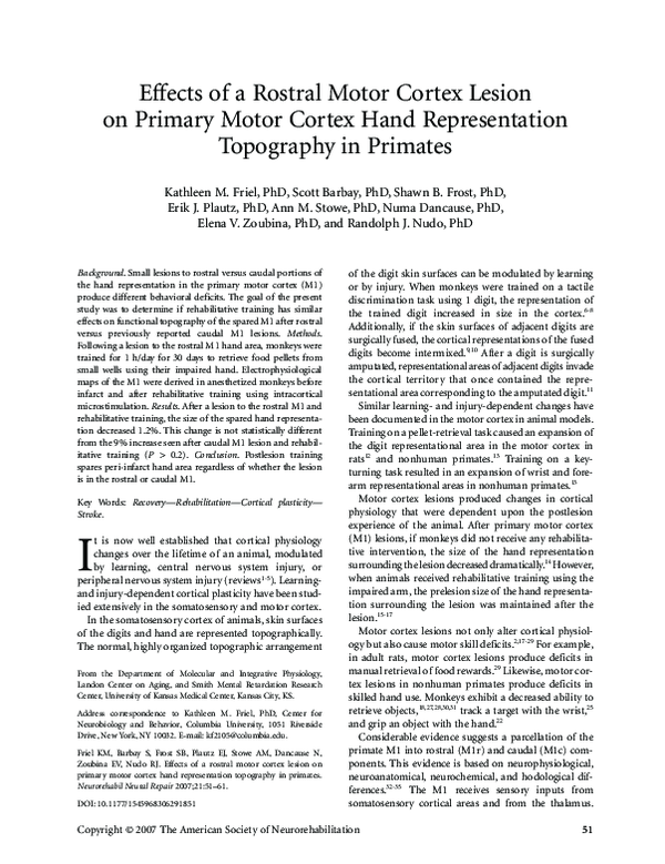 (PDF) Effects of a Rostral Motor Cortex Lesion on Primary Motor Cortex ...