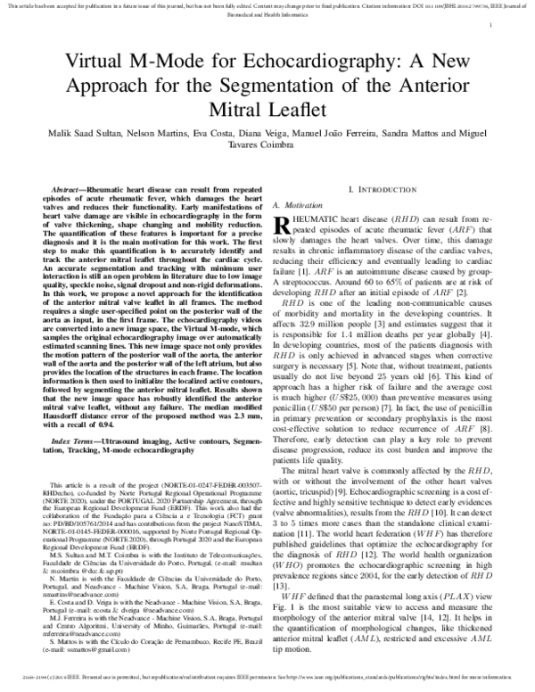 (PDF) Virtual M-Mode for Echocardiography: A New Approach for the ...