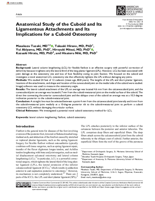 (PDF) Anatomical Study of the Cuboid and Its Ligamentous Attachments ...