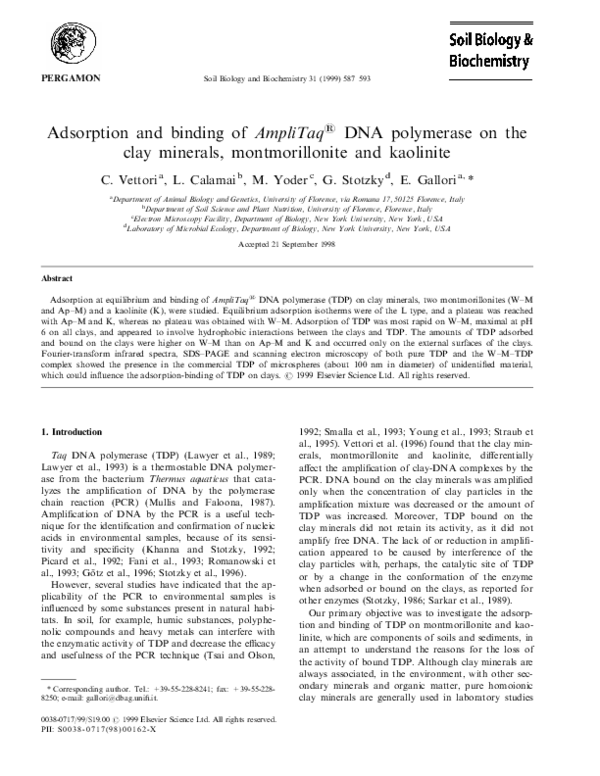 (PDF) Adsorption and binding of AmpliTaq® DNA polymerase on the clay ...