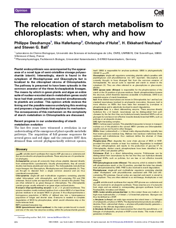 (PDF) The relocation of starch metabolism to chloroplasts: when, why ...