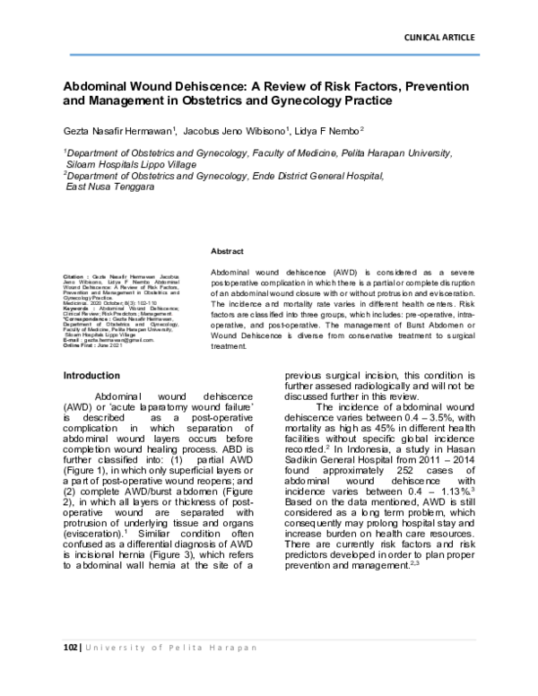 (PDF) Abdominal Wound Dehiscence: A Review of Risk Factors, Prevention ...