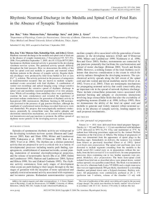 (PDF) Rhythmic Neuronal Discharge in the Medulla and Spinal Cord of ...