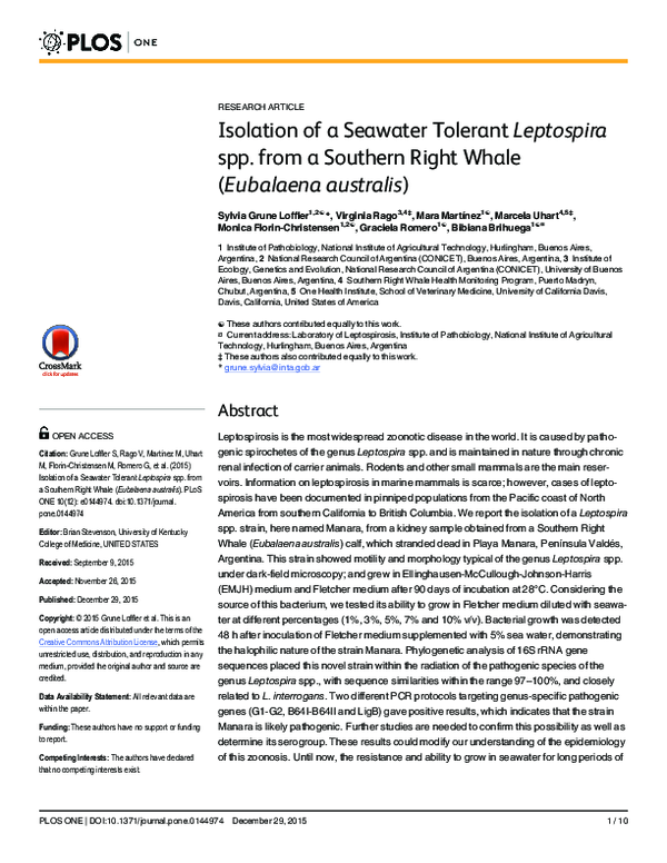 (PDF) Isolation of a Seawater Tolerant Leptospira spp. from a Southern ...