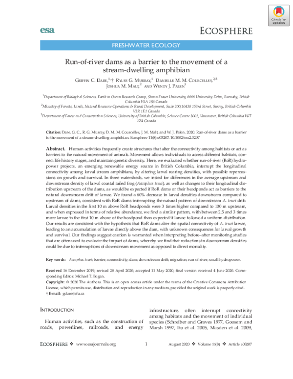 (PDF) Run‐of‐river dams as a barrier to the movement of a stream ...