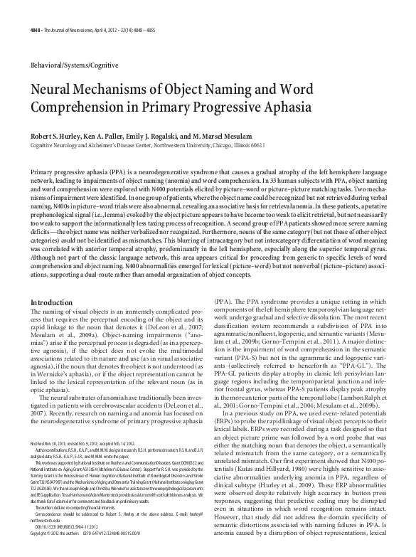 (PDF) Neural mechanisms of object naming and word comprehension in primary progressive aphasia