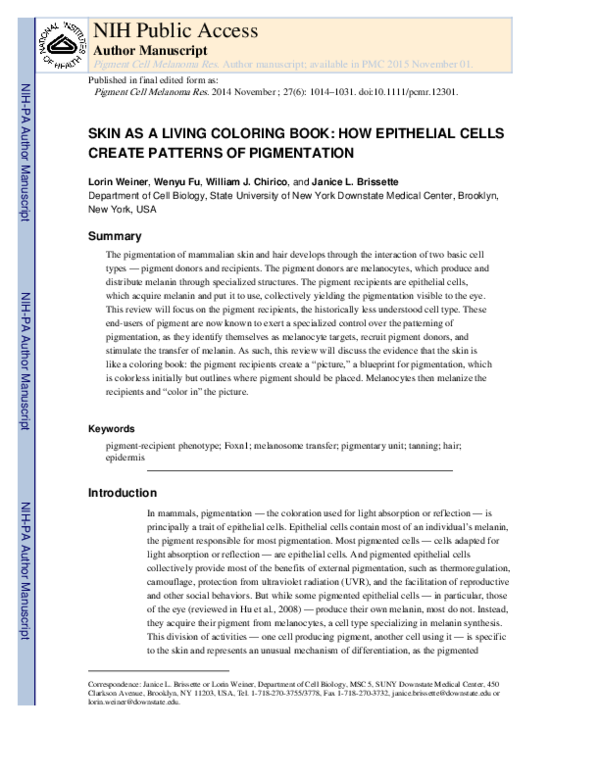 (PDF) Skin as a living coloring book: how epithelial cells create ...