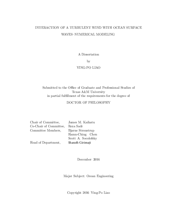 (PDF) Interaction of a Turbulent Wind with Ocean Surface Waves ...