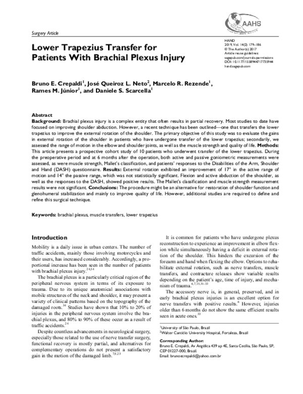(PDF) Lower Trapezius Transfer for Patients With Brachial Plexus Injury