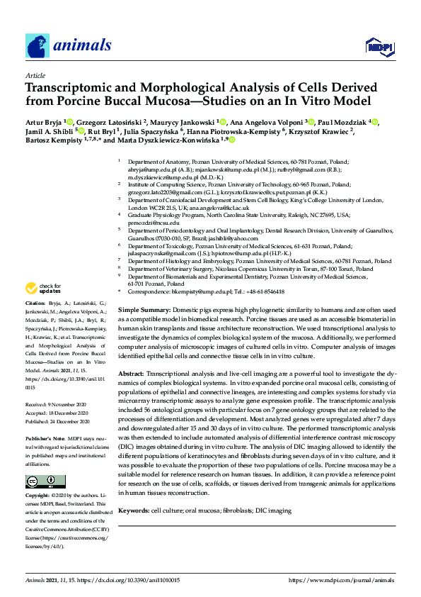 (PDF) Transcriptomic and Morphological Analysis of Cells Derived from ...