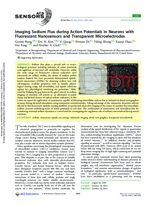 (PDF) Imaging Sodium Flux during Action Potentials in Neurons with ...