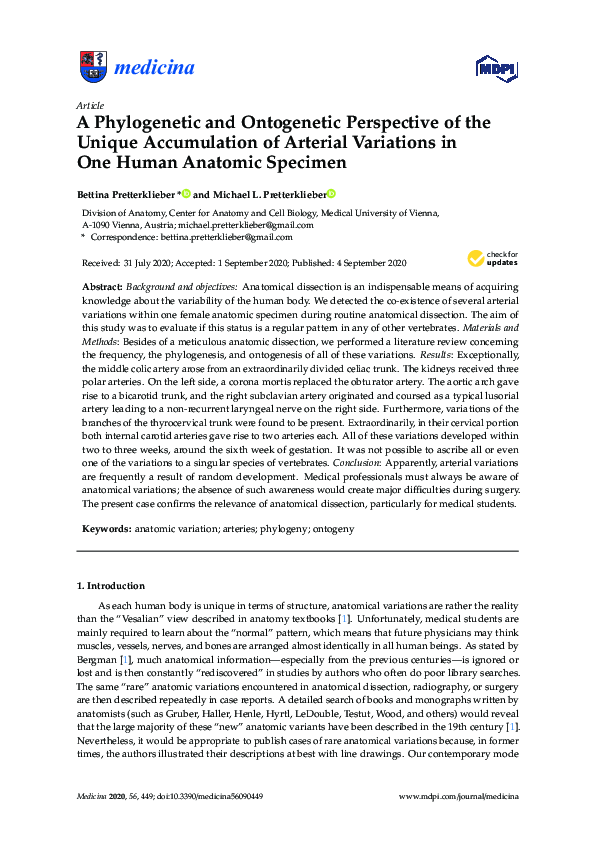 (PDF) A Phylogenetic and Ontogenetic Perspective of the Unique ...