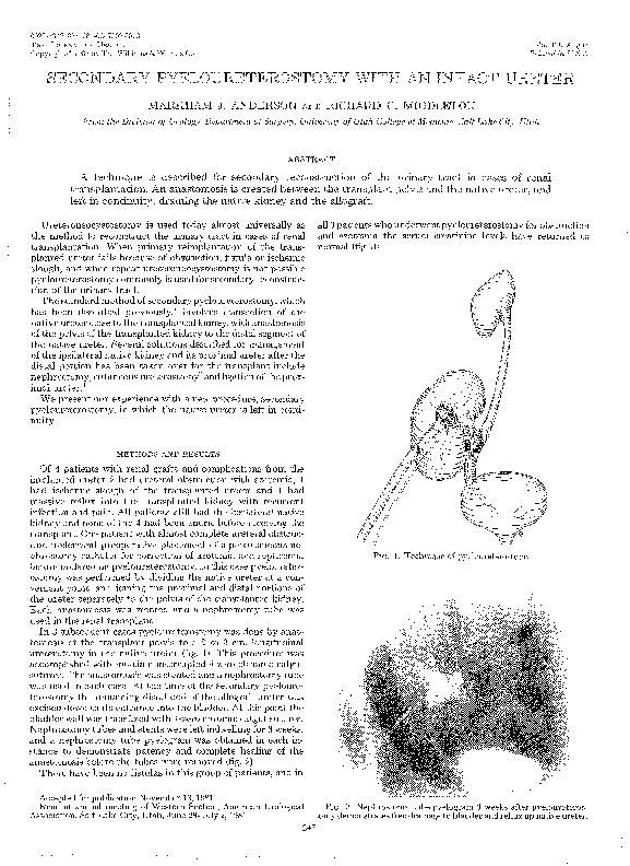 (PDF) Secondary Pyeloureterostomy with an Intact Ureter