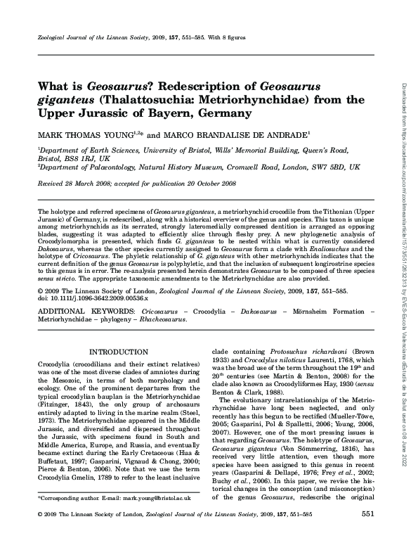 (PDF) What is Geosaurus? Redescription of Geosaurus giganteus ...
