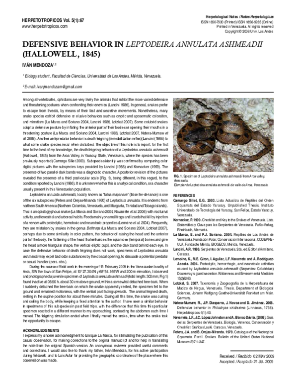 (PDF) Defensive behavior in Leptodeira Annulata Ashmeadii (hallowell, 1845)