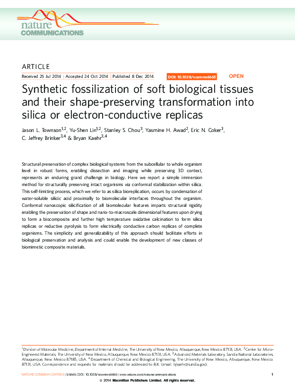 (PDF) Synthetic fossilization of soft biological tissues and their ...
