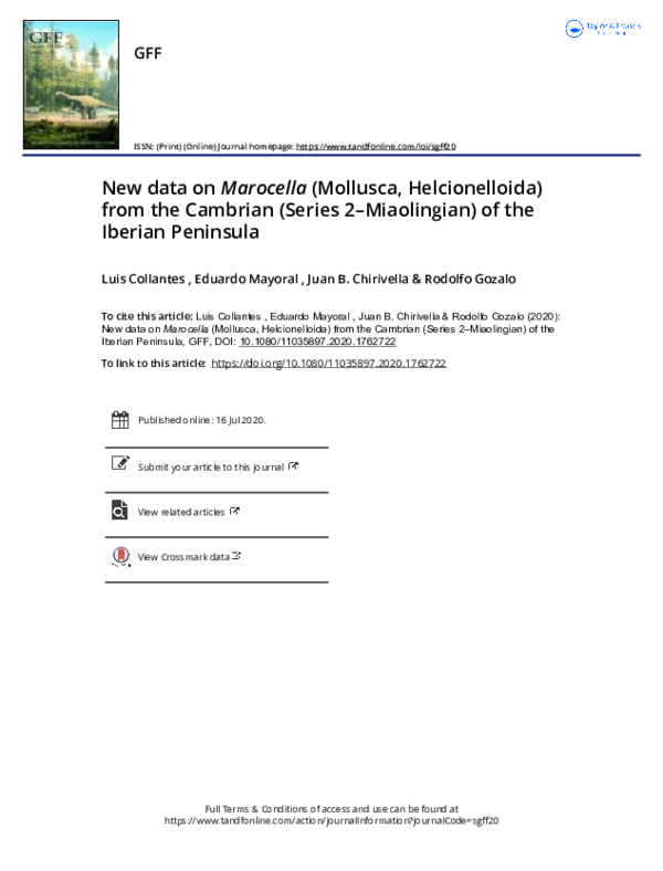 (PDF) New data on Marocella (Mollusca, Helcionelloida) from the ...