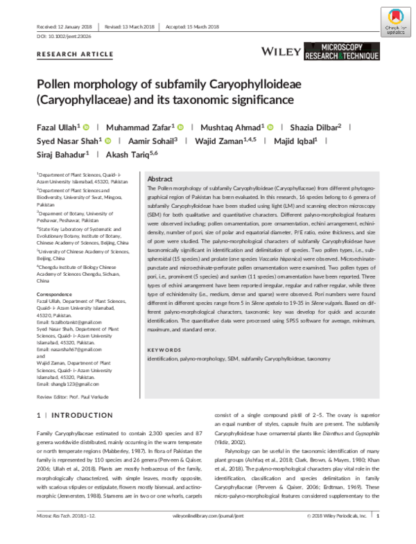 (PDF) Pollen morphology of subfamily Caryophylloideae (Caryophyllaceae ...