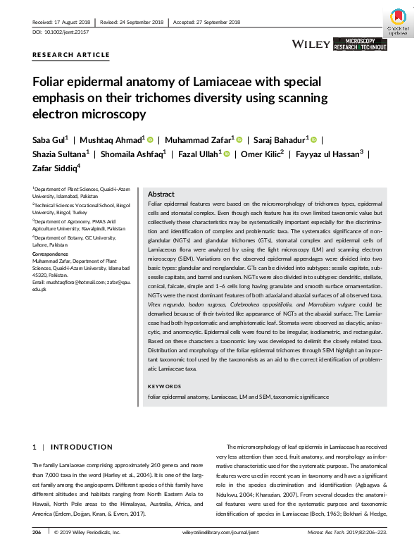 (PDF) Foliar epidermal anatomy of Lamiaceae with special emphasis on ...