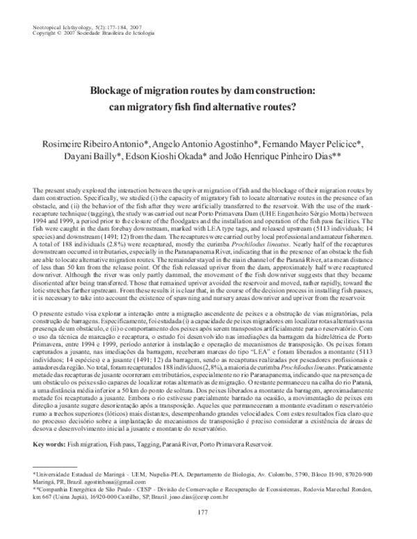 (PDF) Blockage of migration routes by dam construction: can migratory ...