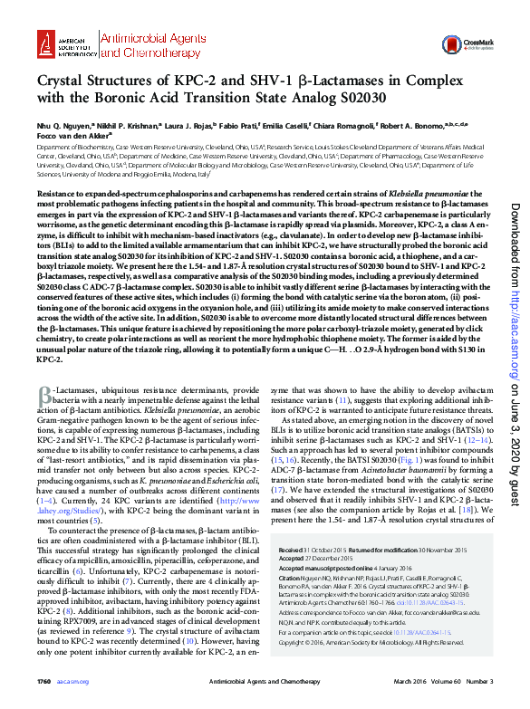 (PDF) Crystal structures of KPC-2 and SHV-1 β-lactamases in complex ...