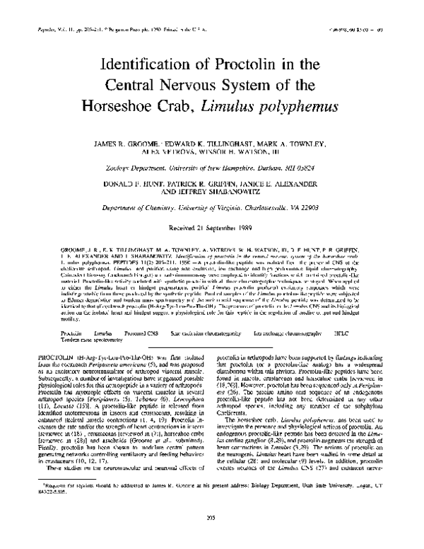 (PDF) Identification of proctolin in the central nervous system of the ...