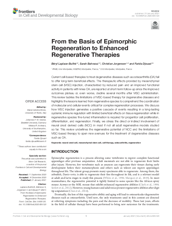 (PDF) From the Basis of Epimorphic Regeneration to Enhanced ...