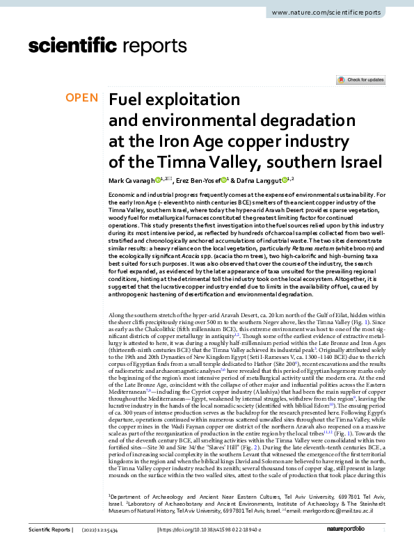 (PDF) Fuel exploitation and environmental degradation at the Iron Age ...